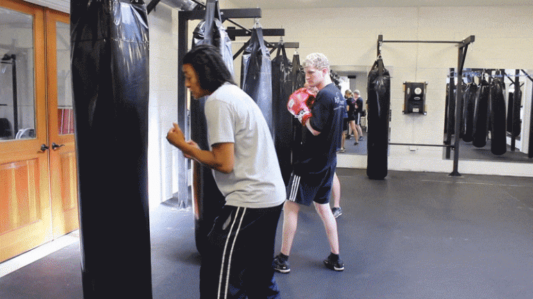 Home | Fight Into Fitness